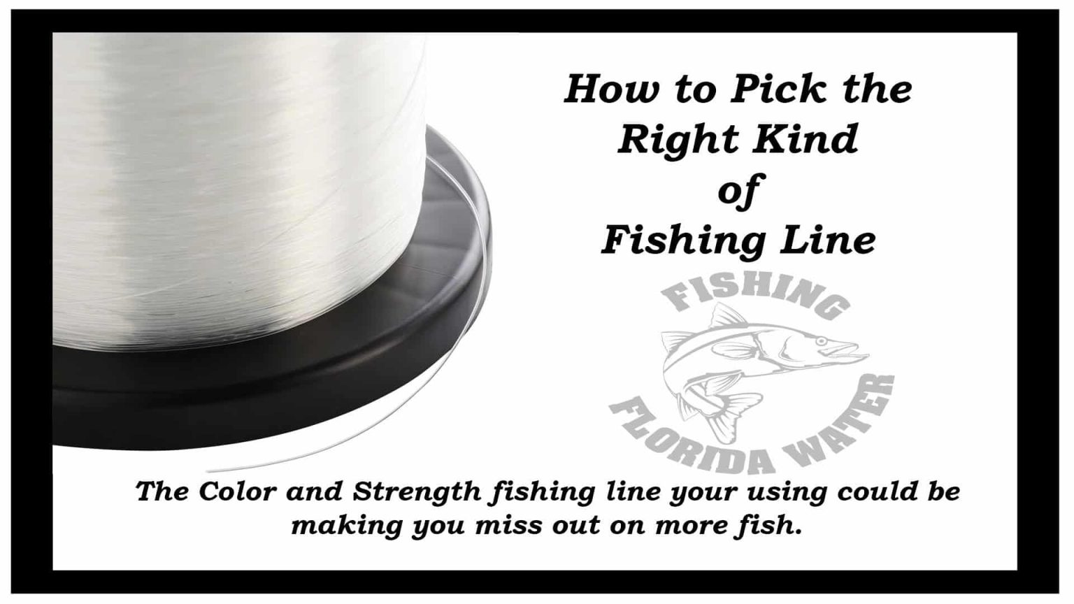 Best Fishing Line: Learn What Works & Why - Fishing Florida Water LLC ...