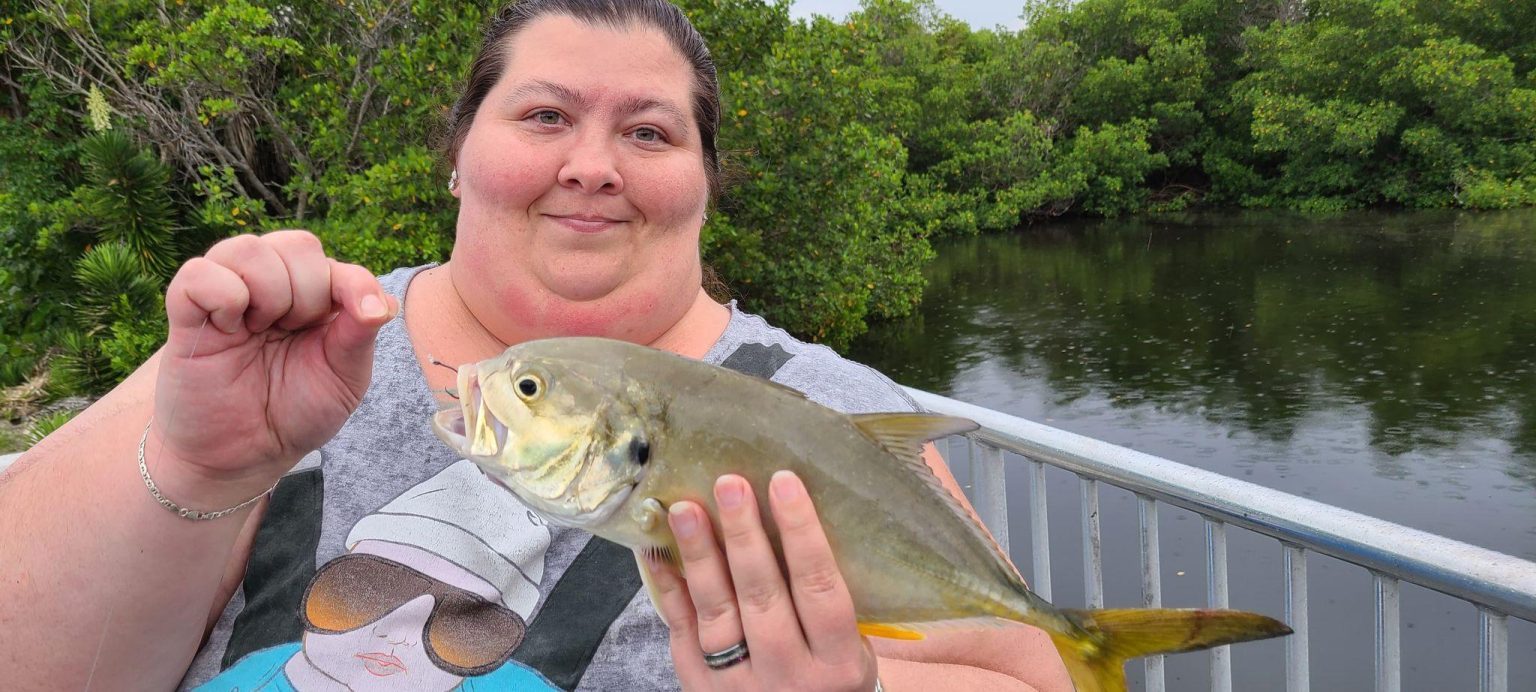 Sheepshead - Fishing Florida Water LLC | Helping to inspire new fishermen