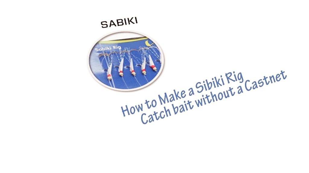 A Beginner's Guide to the Sabiki Rig - Fishing Florida Water LLC ...