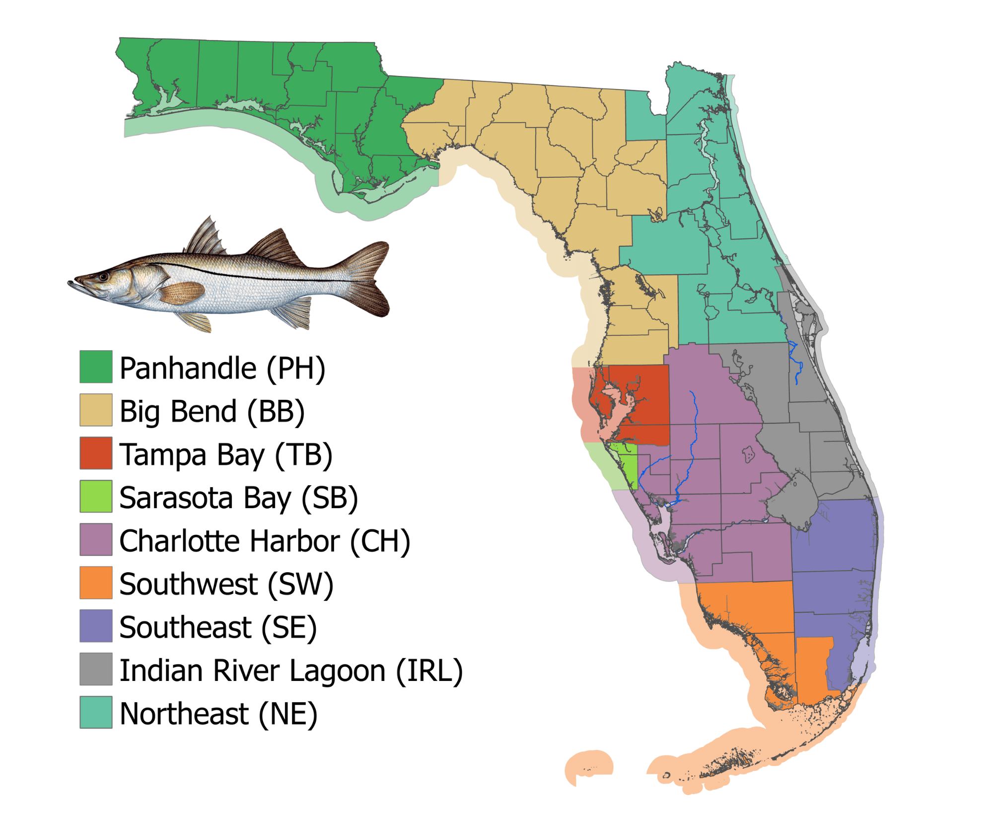 Snook season in Florida 2025 - Fishing Florida Water LLC | Helping to ...