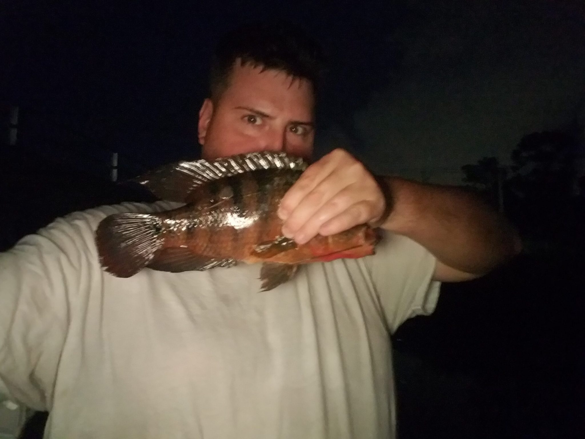 Mayan cichlid - Fishing Florida Water LLC | Helping to inspire new ...