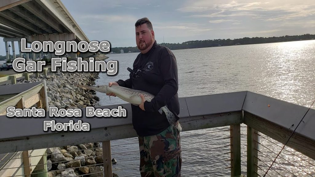The Knocker Fishing Rig: What You Should Know - Fishing Florida Water ...