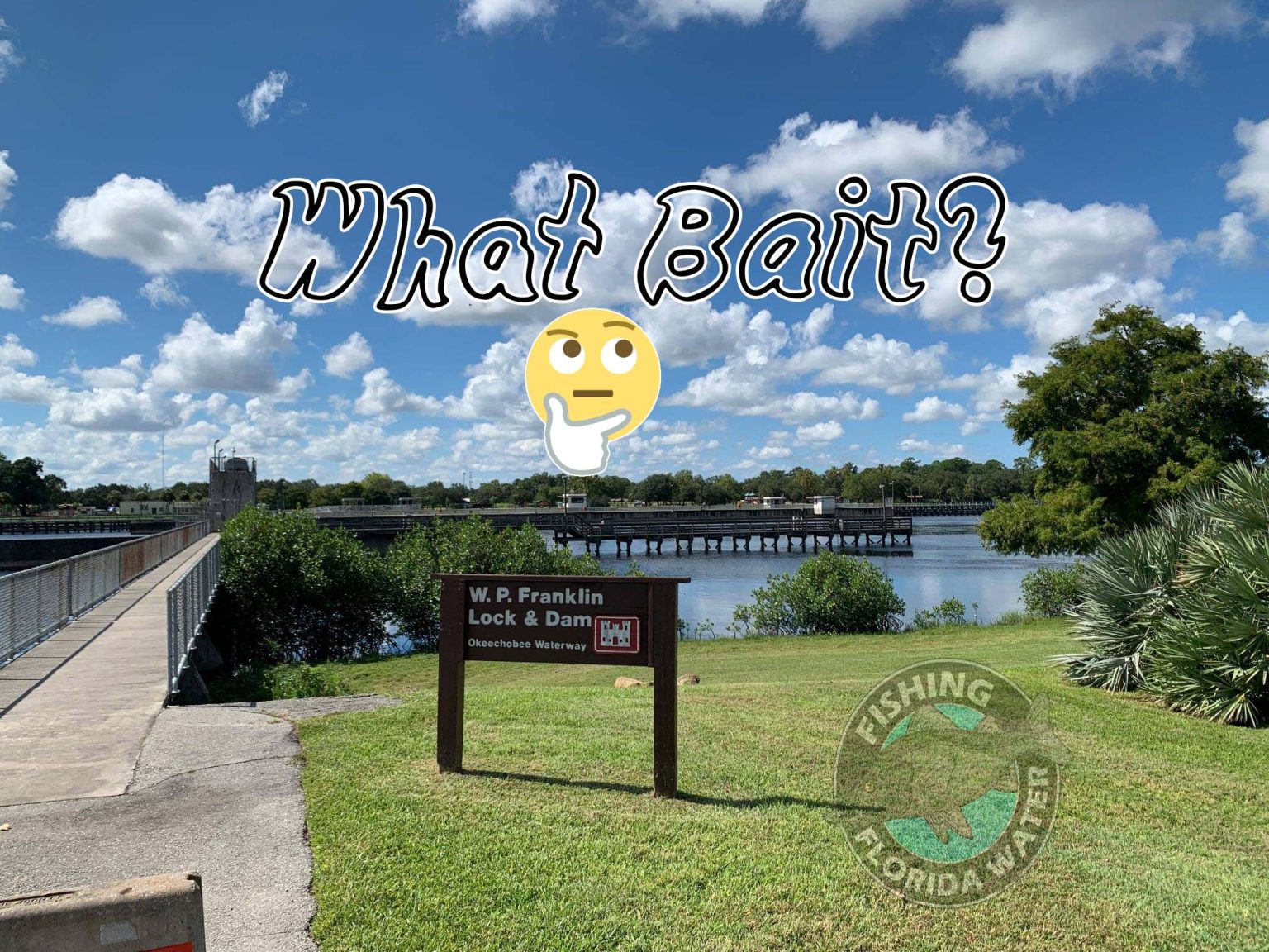 A Beginner's Guide to the Sabiki Rig - Fishing Florida Water LLC ...