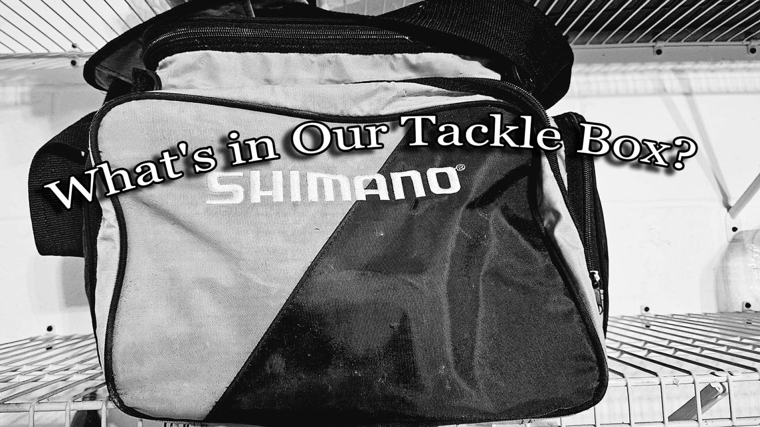 Choosing the Right Circle Hook Size: A Complete Fishing Chart