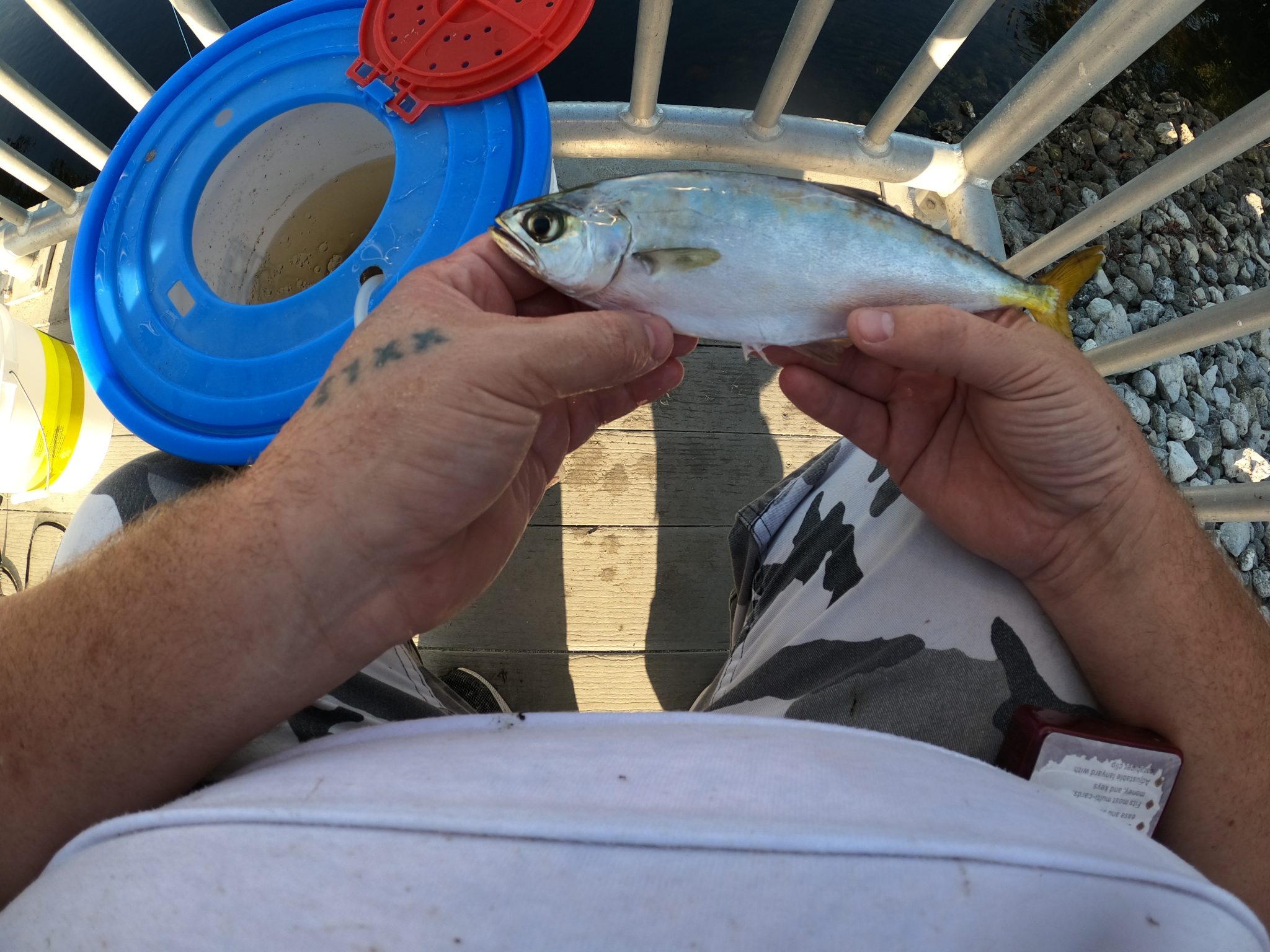 Leatherjacket Fish - Fishing Florida Water LLC | Helping to inspire new ...